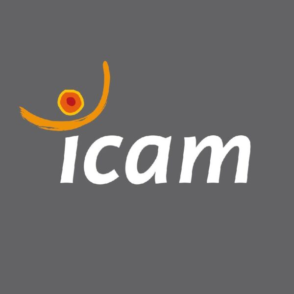 Avis et témoignages d'étudiants ICAM Toulouse - Capitaine Study
