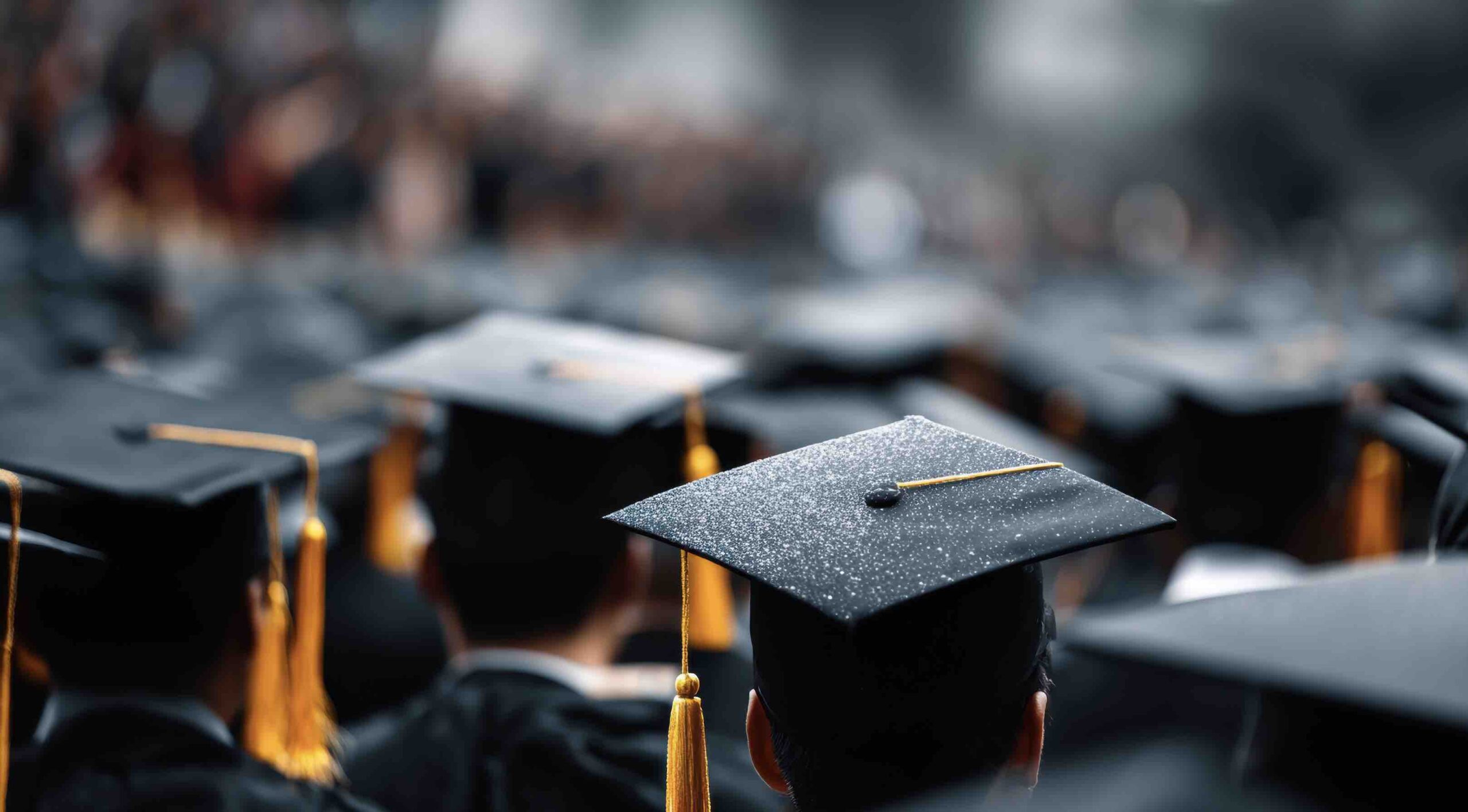 Licence STS : Sciences, Technologies, Santé – Programme et débouchés